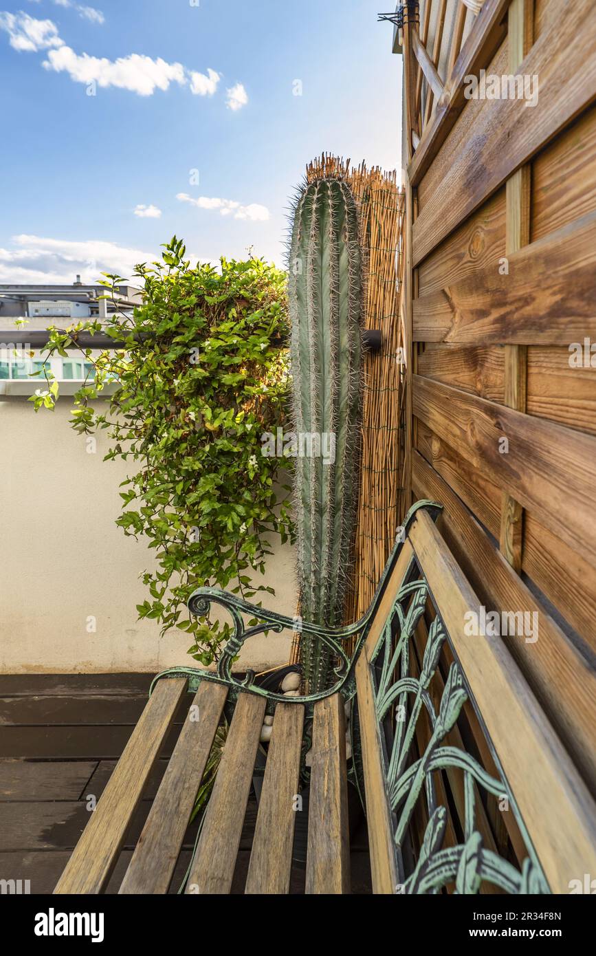 Corner of an urban terrace covered with wood, a matching bench and ...