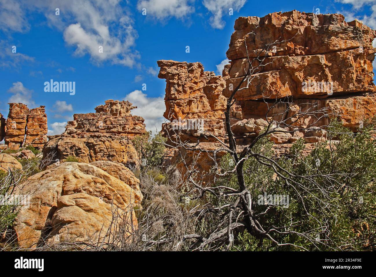 Cederberg mountains nature reserve cape hi-res stock photography and ...