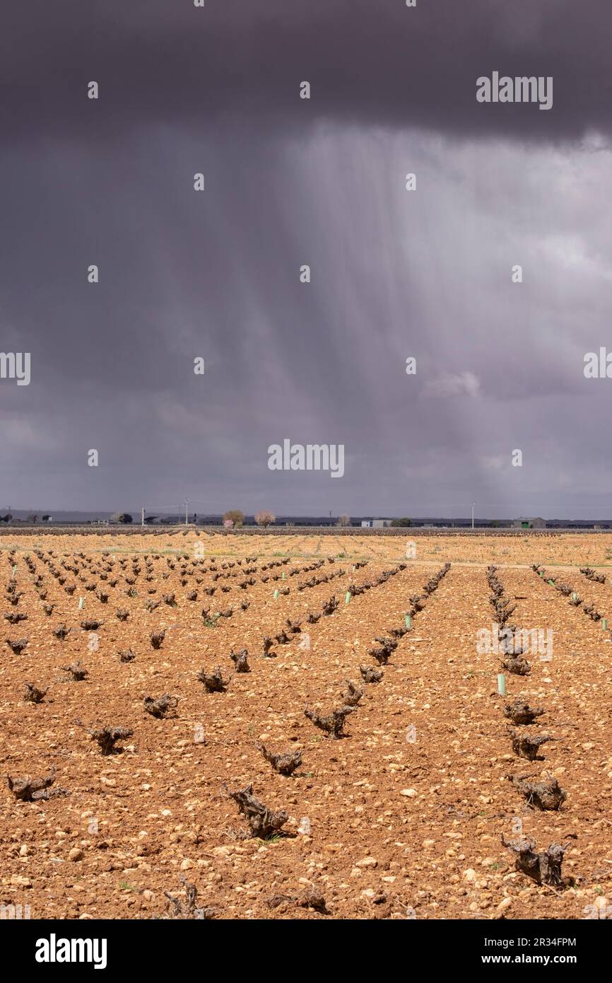 Baja produccion hi-res stock photography and images - Alamy