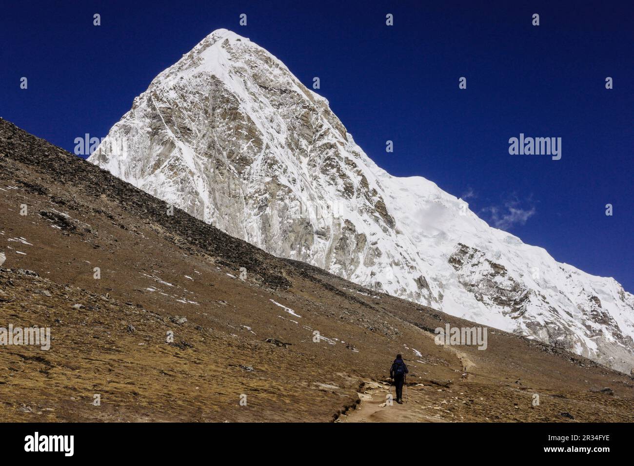Cima Del Monte Everest