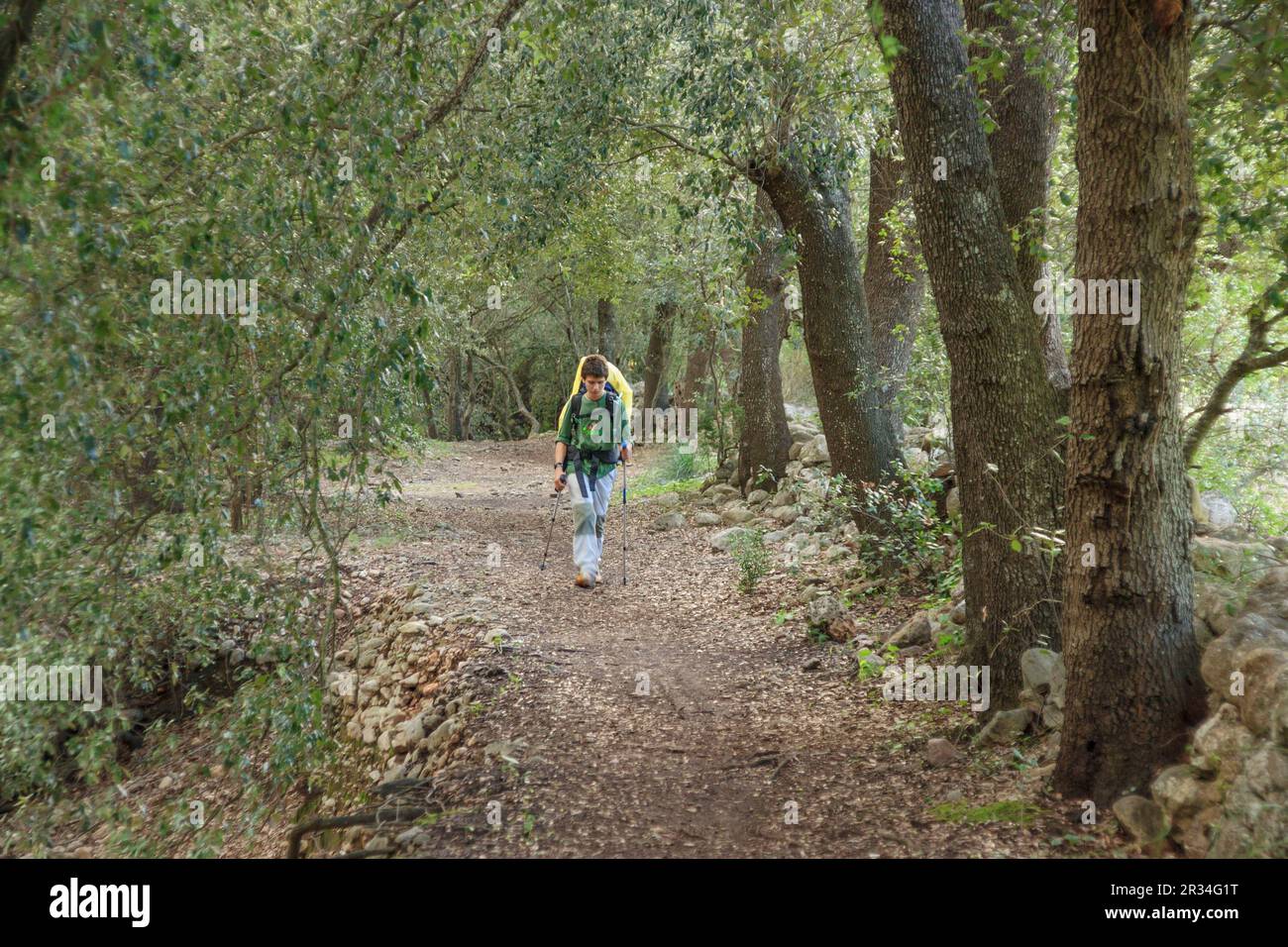 Ecosistema de la costa hi-res stock photography and images - Alamy