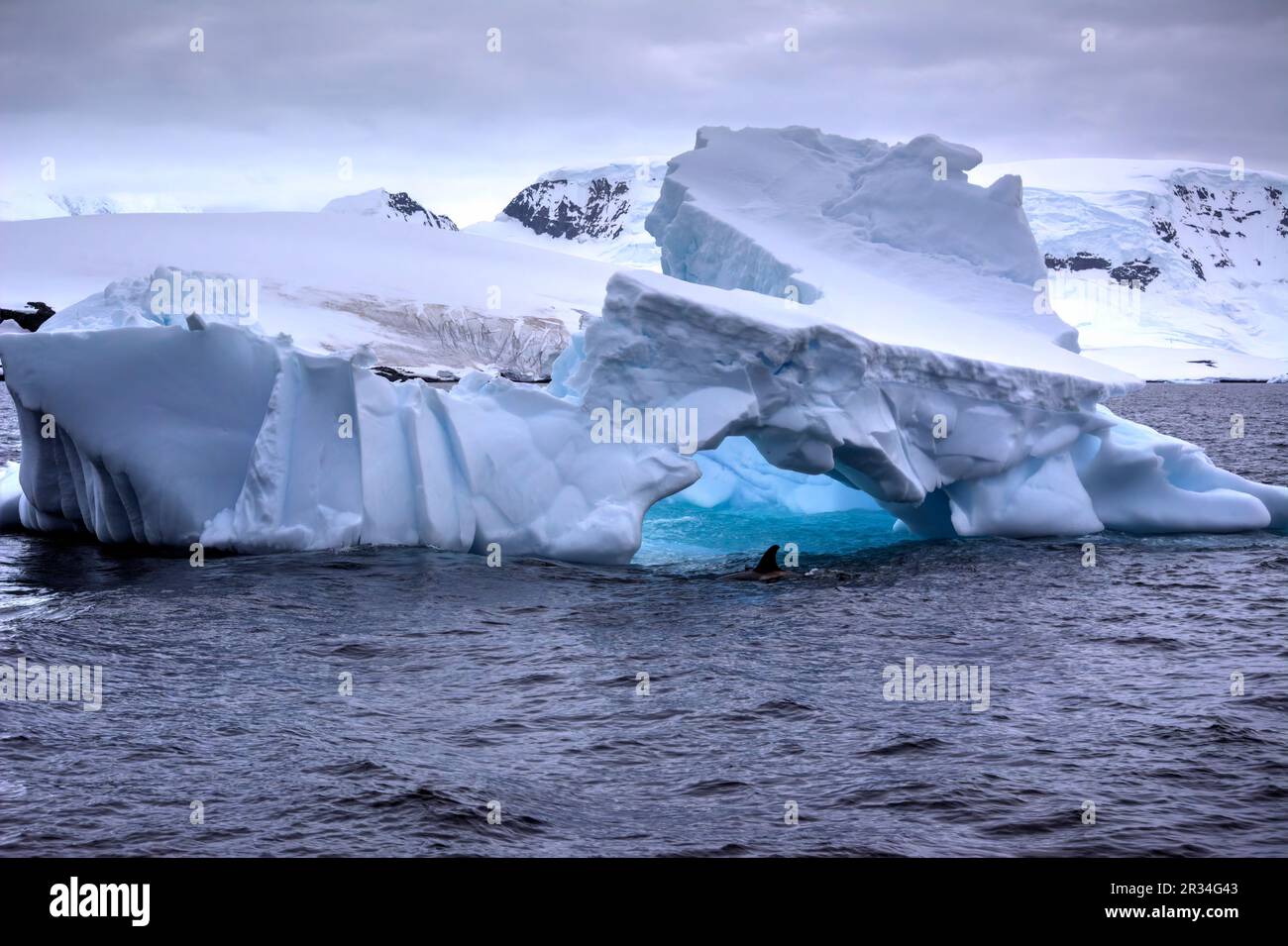 Icebergs and Glaciers Formations in Antarctica Stock Photo - Alamy