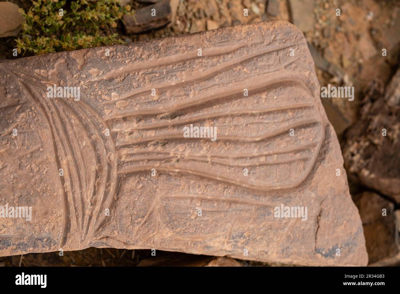 petroglyph, Aït Ouazik rock deposit, late Neolithic, Morocco, Africa ...