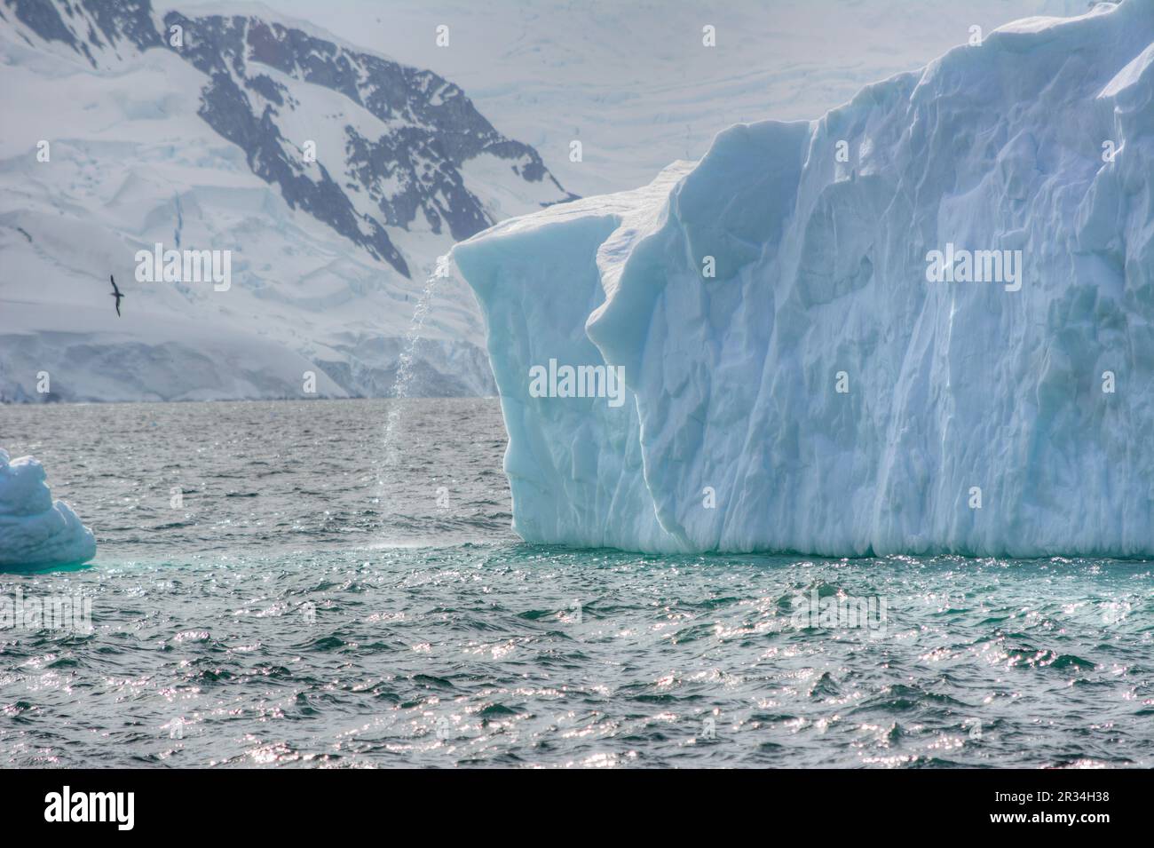 Icebergs and Glaciers Formations in Antarctica Stock Photo - Alamy