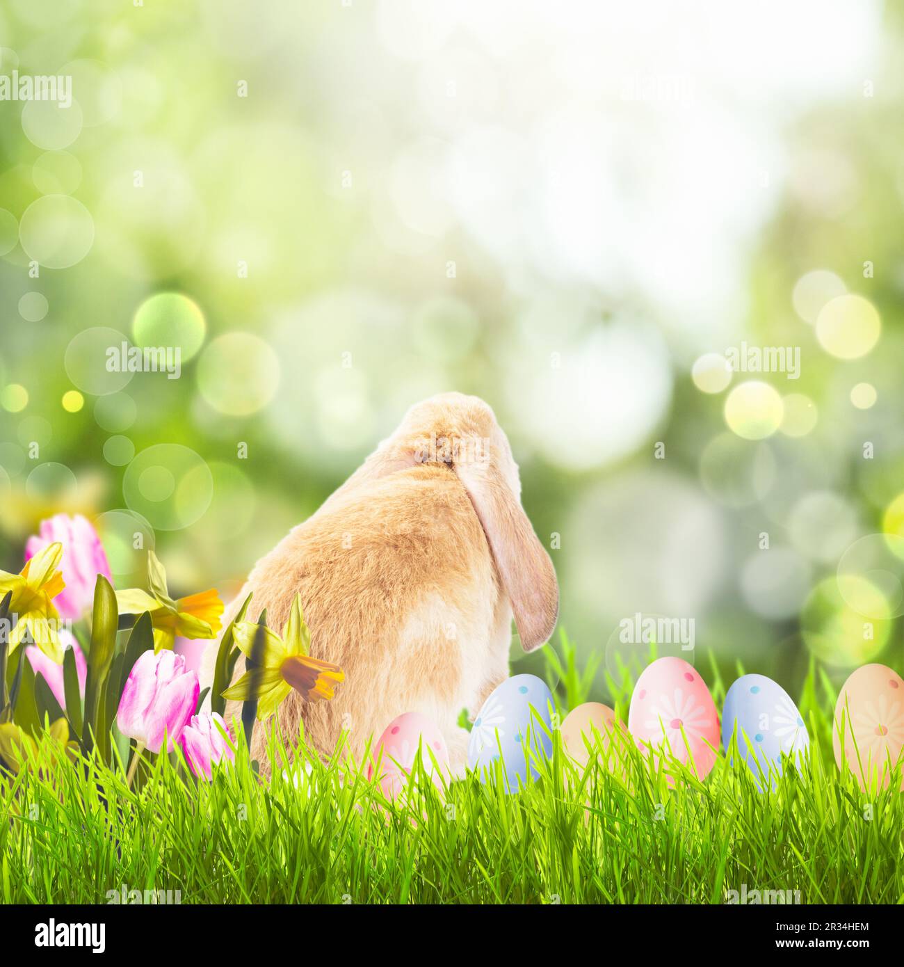 Easter day backdrop hi-res stock photography and images - Alamy