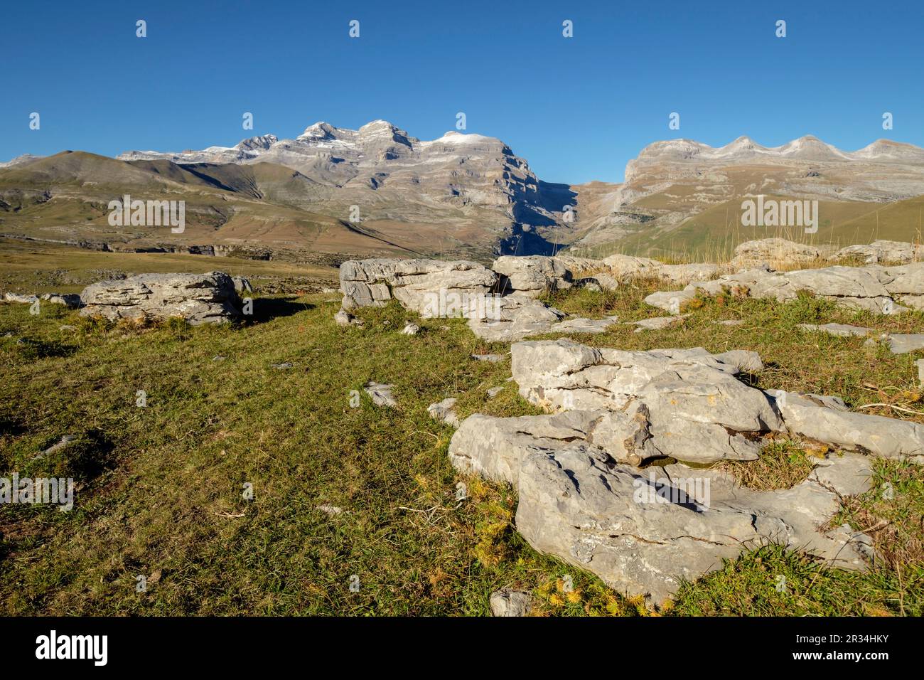 Relieve de piedra caliza hi-res stock photography and images - Alamy