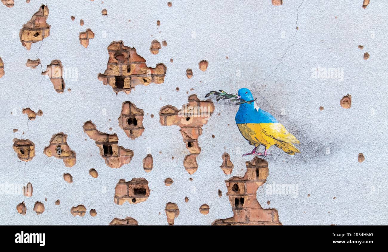 Shelled wall with a drawing of a dove in the colors of the flag of ...