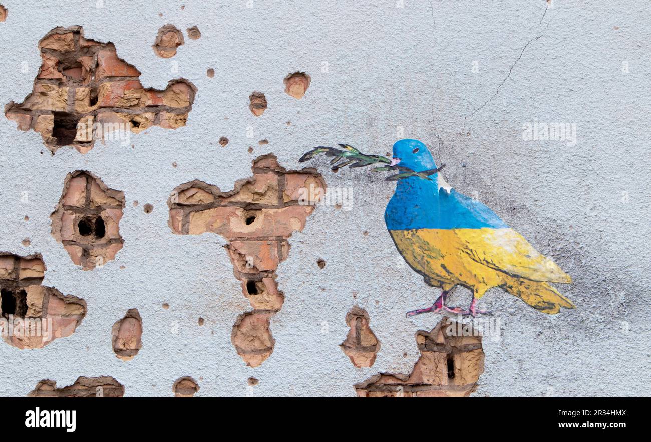 Shelled wall with a drawing of a dove in the colors of the flag of ...