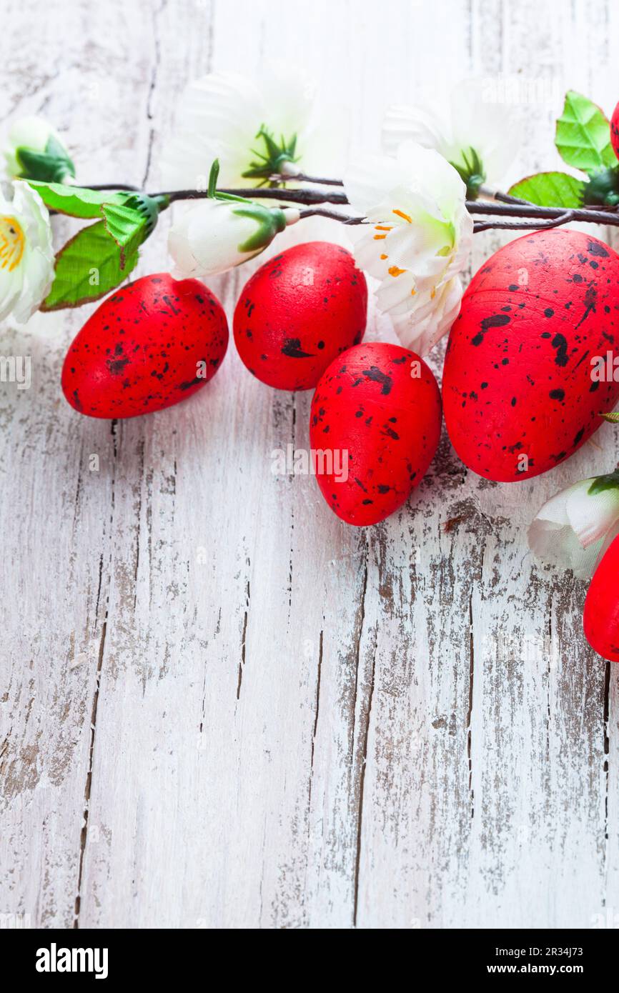 Patchy eggs hi-res stock photography and images - Alamy