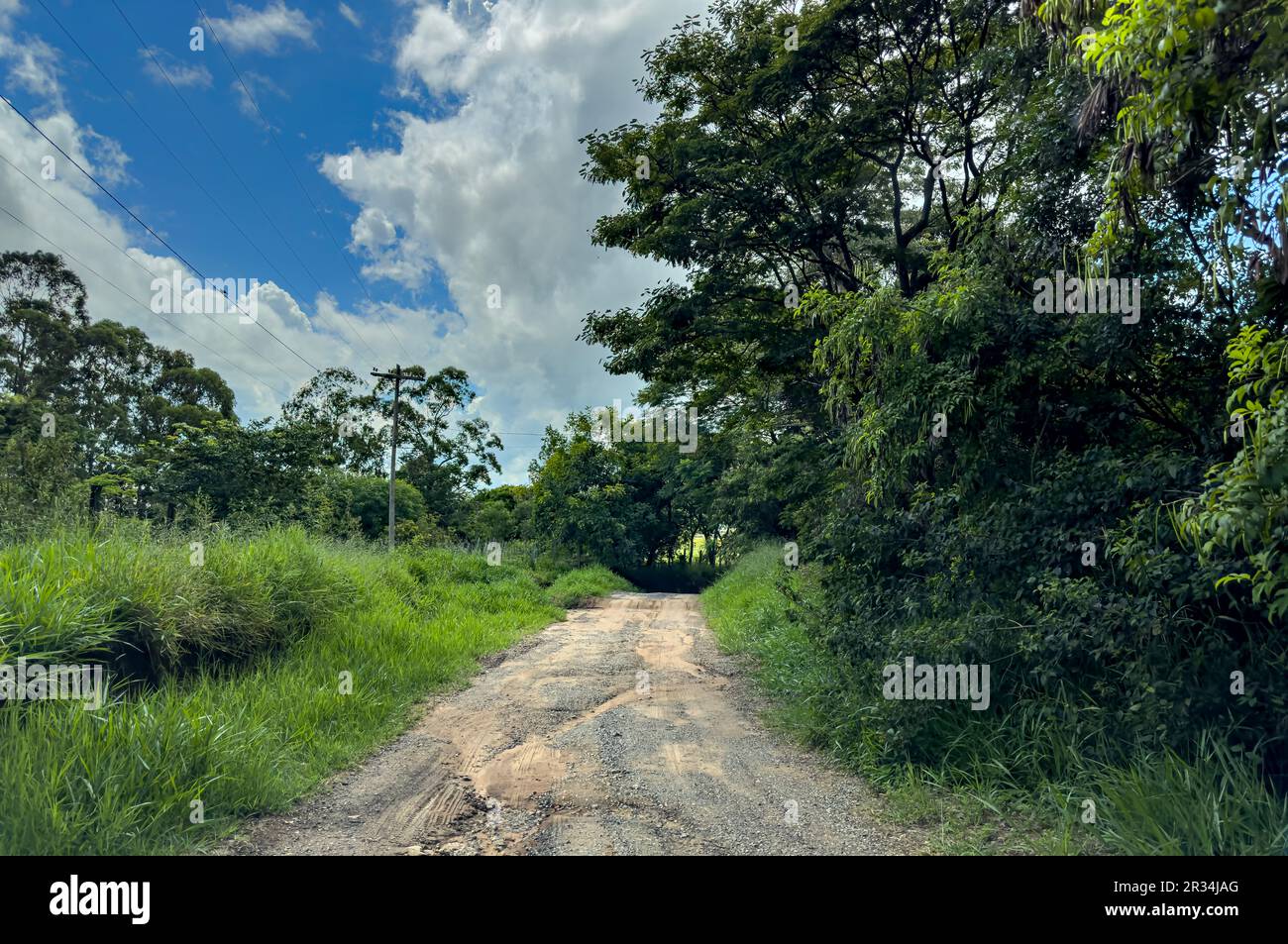 Dirt road with rocks, grass, and electricity pole Stock Photo - Alamy