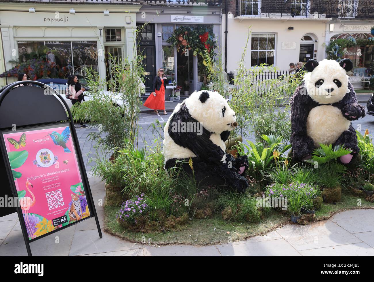 Belgravias bamboo bears hi-res stock photography and images - Alamy