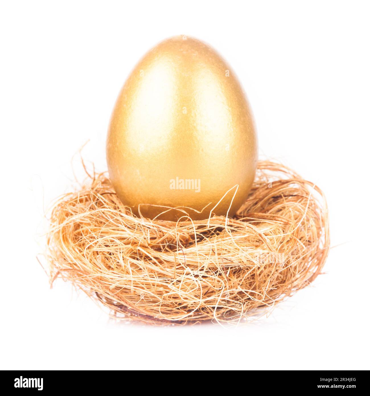 Business nest egg Cut Out Stock Images & Pictures - Alamy