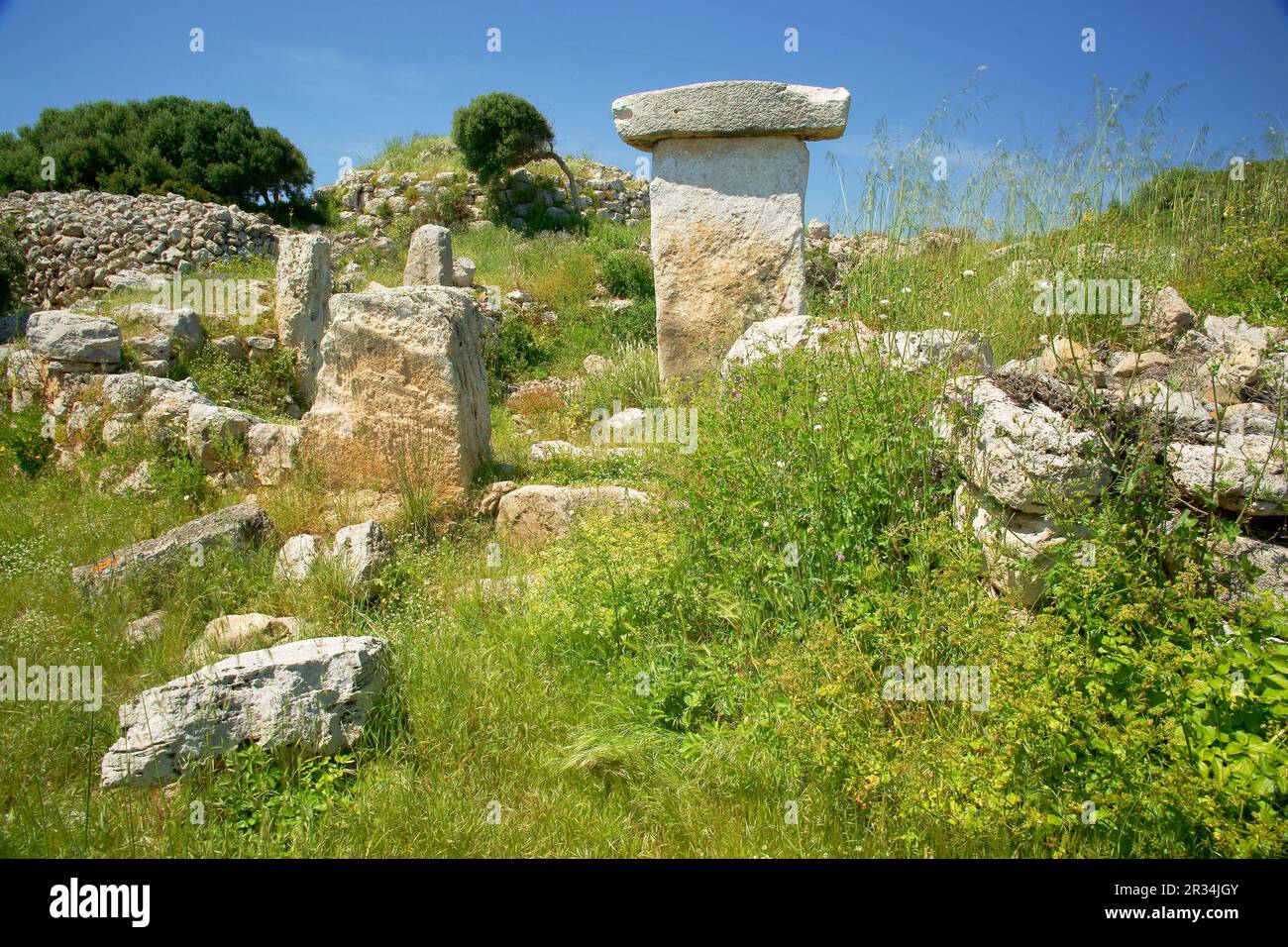 Torreta blanca hi-res stock photography and images - Alamy