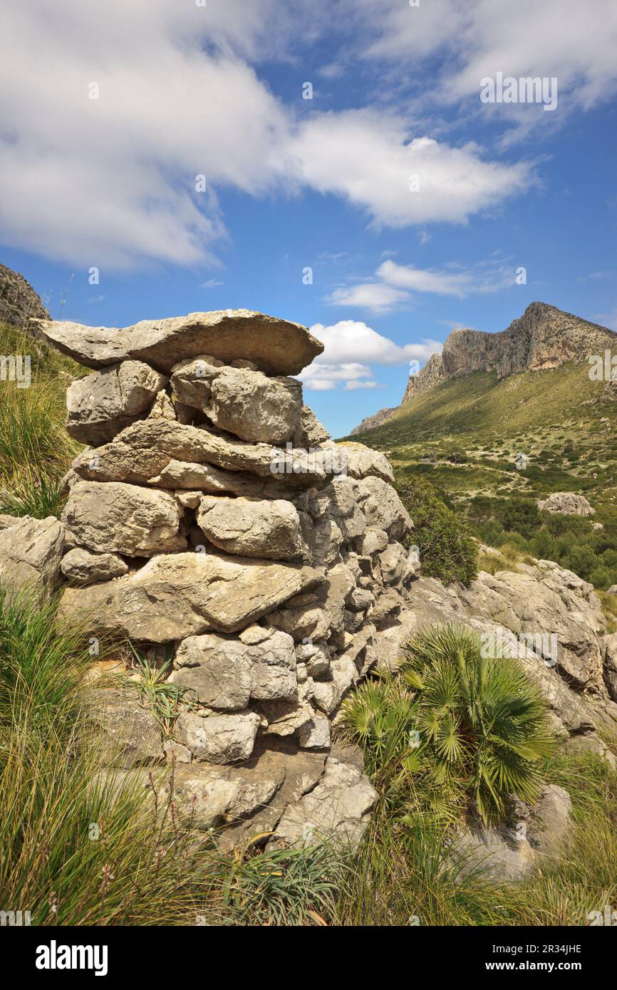 Shipbuildings from the Talayotica period, pre-Roman city of Bocchoris ...