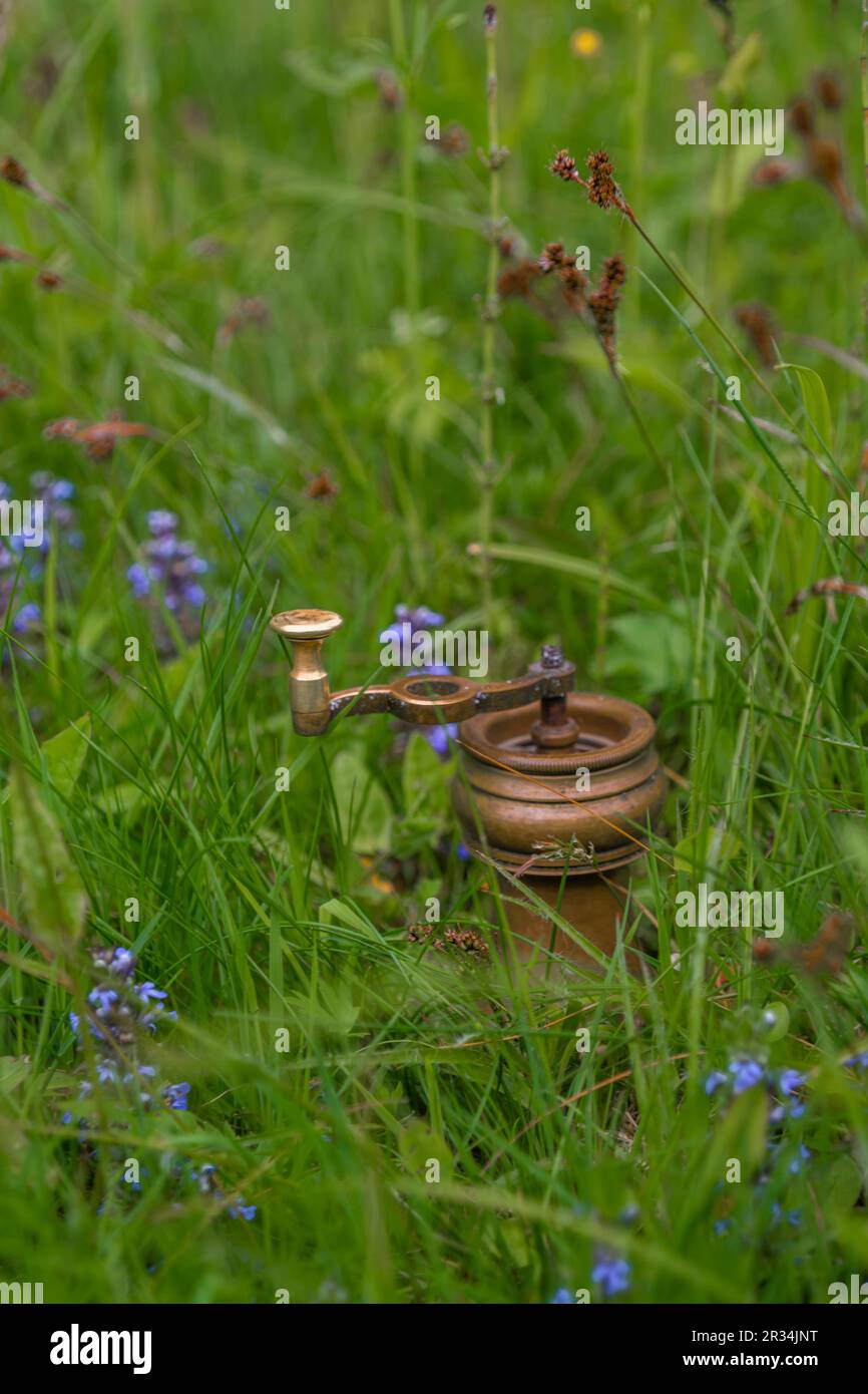 Old metal golden mill grinder in green spring fresh grass Stock Photo ...