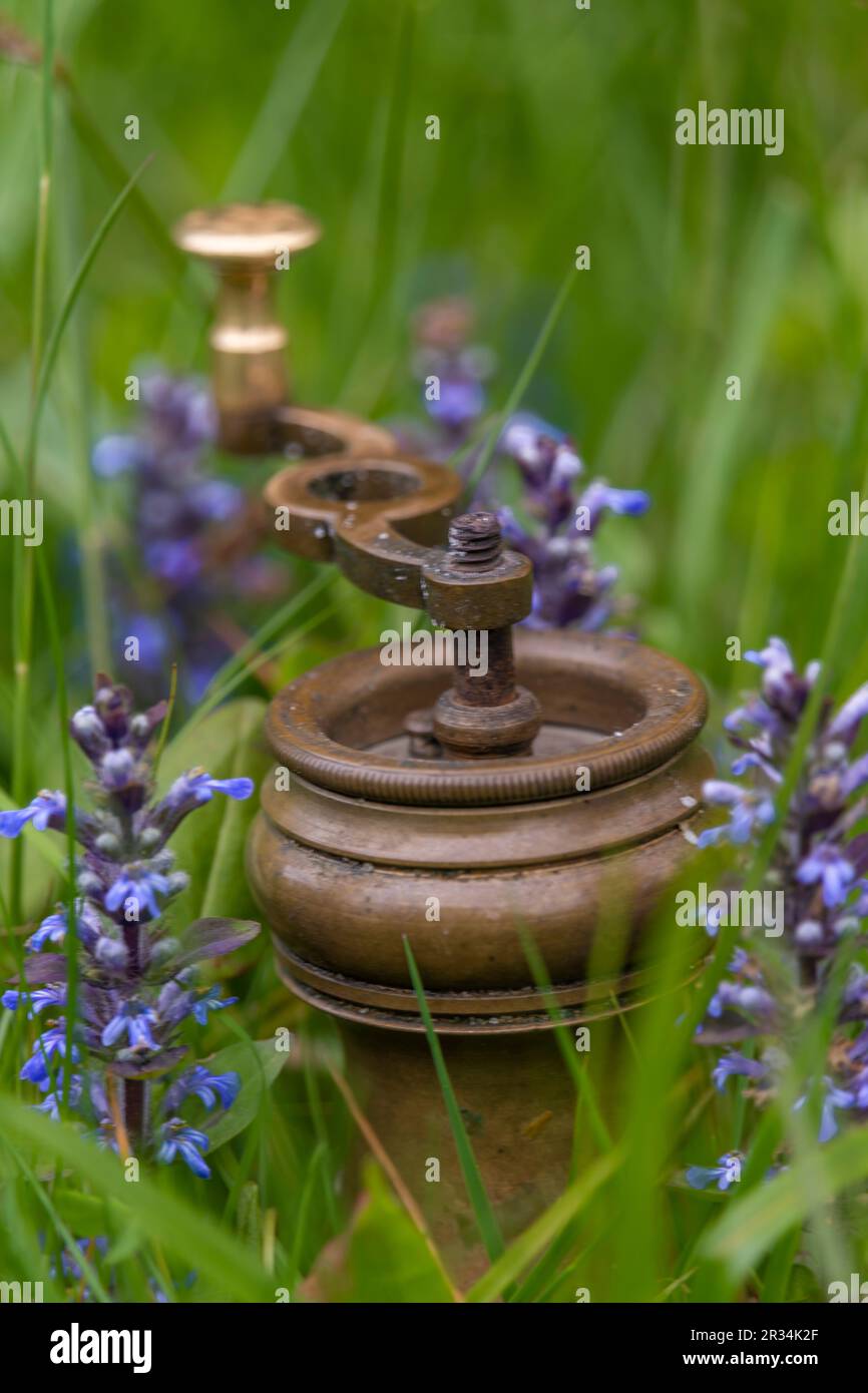Grain golden metal metallic hi-res stock photography and images - Alamy