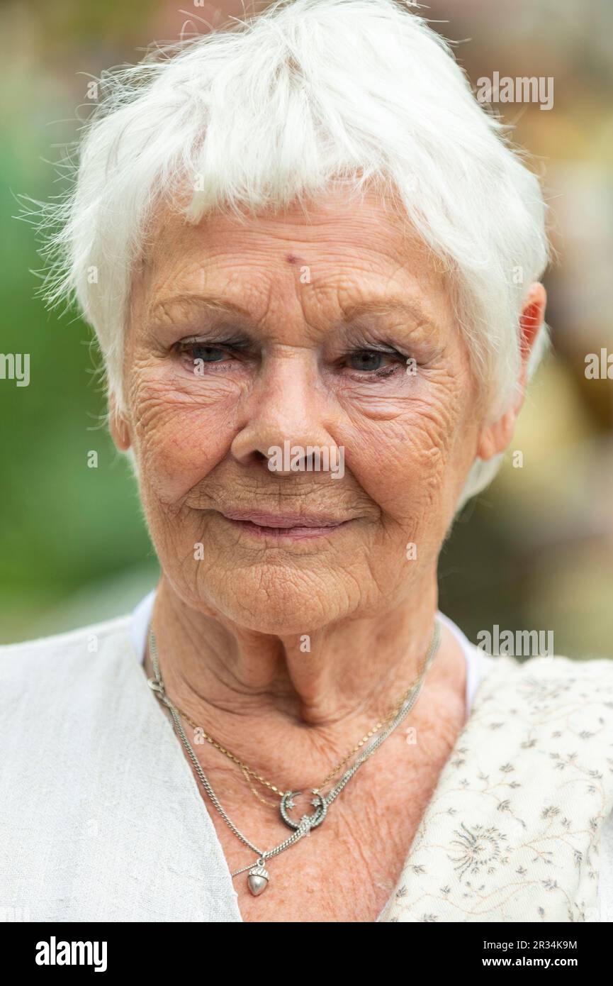 Dame judi dench 2023 hi-res stock photography and images - Alamy