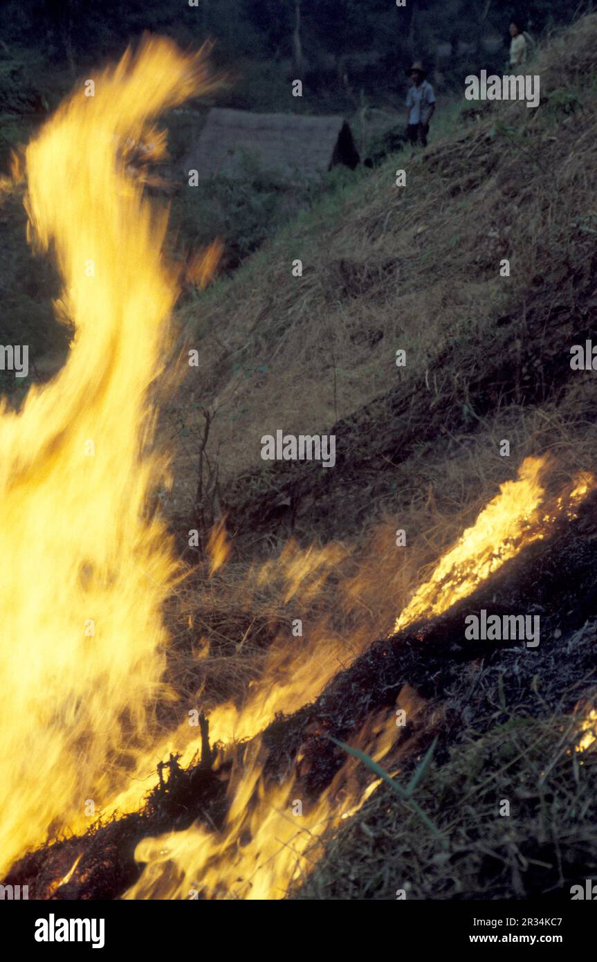 Slash and burn farming fire hi-res stock photography and images - Alamy