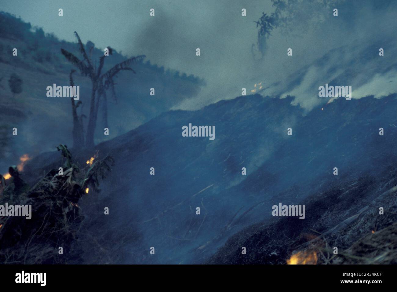 Slash and burn farming fire hi-res stock photography and images - Alamy