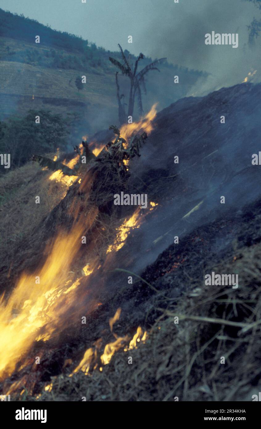 Slash and burn farming fire hi-res stock photography and images - Alamy