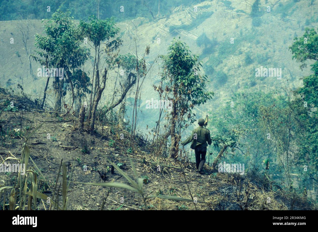 a framer after a Bush fire and Cat and Burn of Agriculture Land near ...