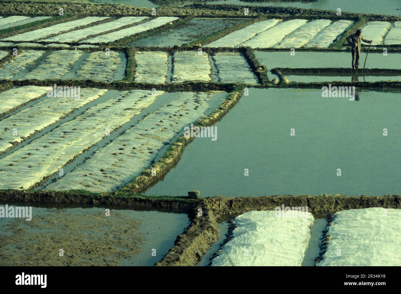 agriculture and Landscape at the Town of Dali on the Er Hai Lake in the ...