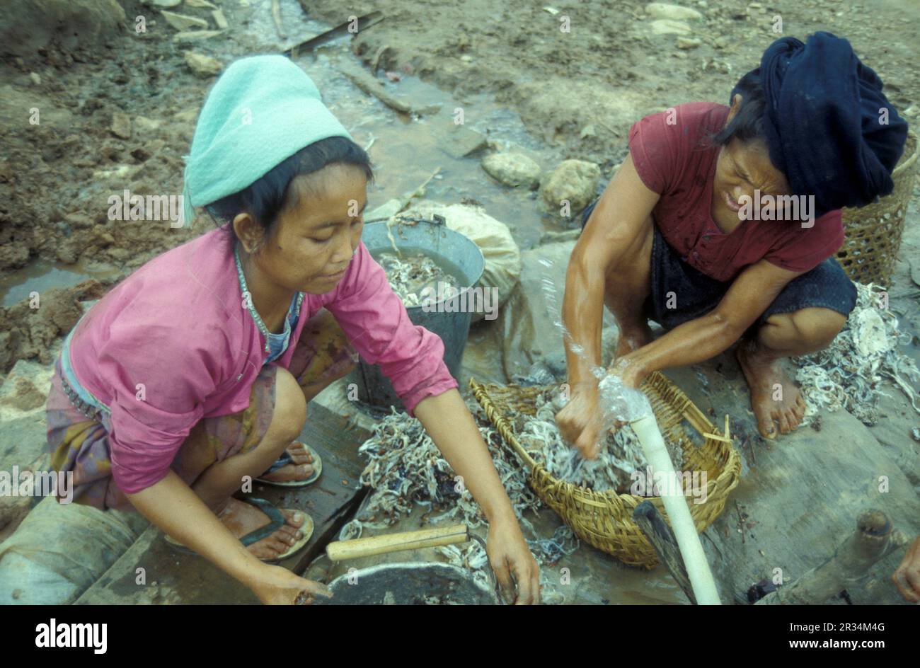Rubber farm china hi-res stock photography and images - Alamy