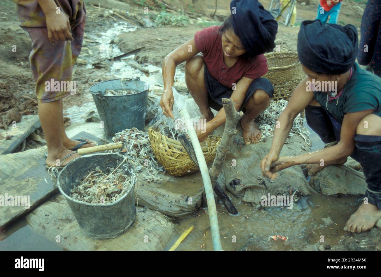 people working at a rubber tree Plantation near the Town of Menghai in ...
