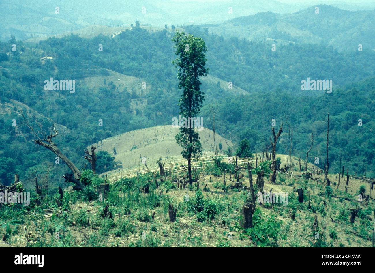 Bush fire and Cat and Burn of Agriculture Land near the Town of Menghai ...