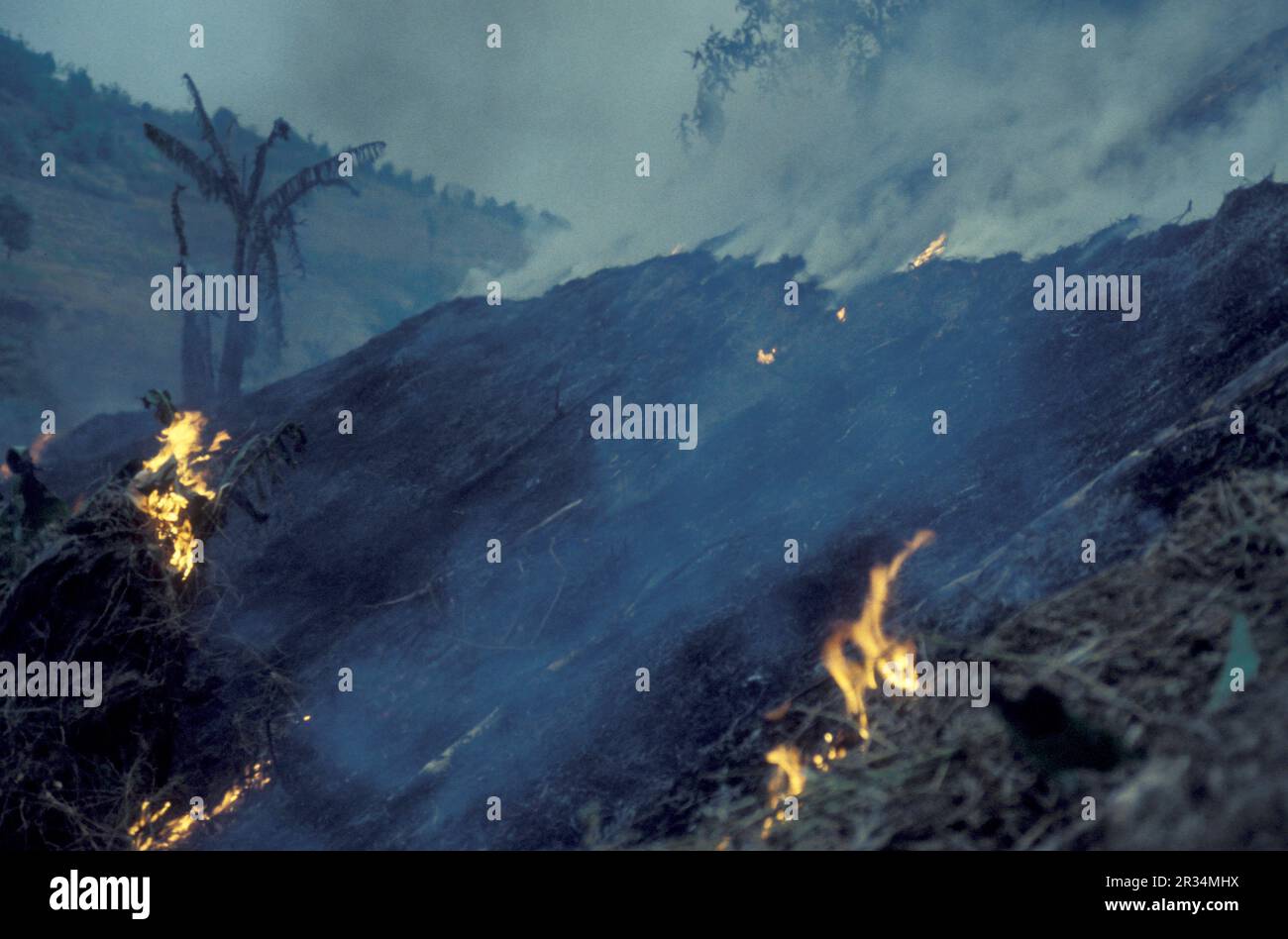 Slash and burn farming fire hi-res stock photography and images - Alamy
