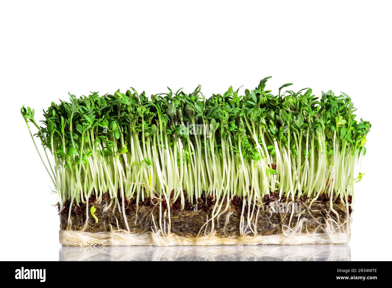 Kresse hi-res stock photography and images - Alamy