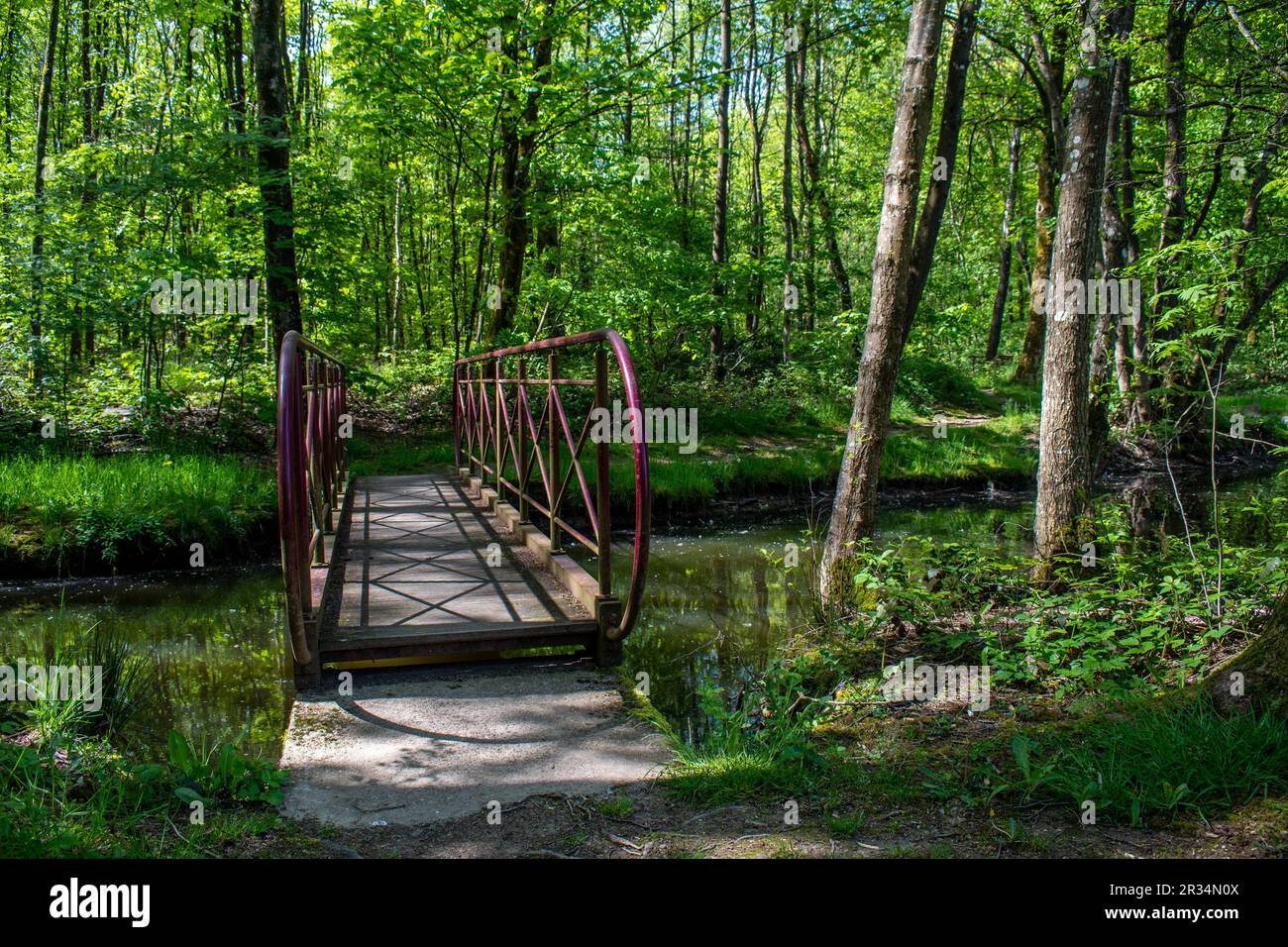Park in Hosingen Stock Photo - Alamy