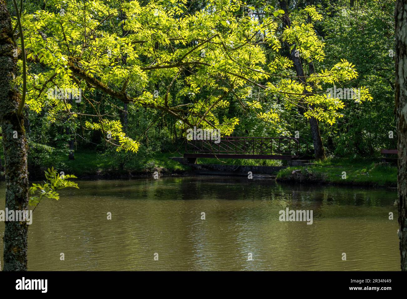 Hosingen hi-res stock photography and images - Alamy