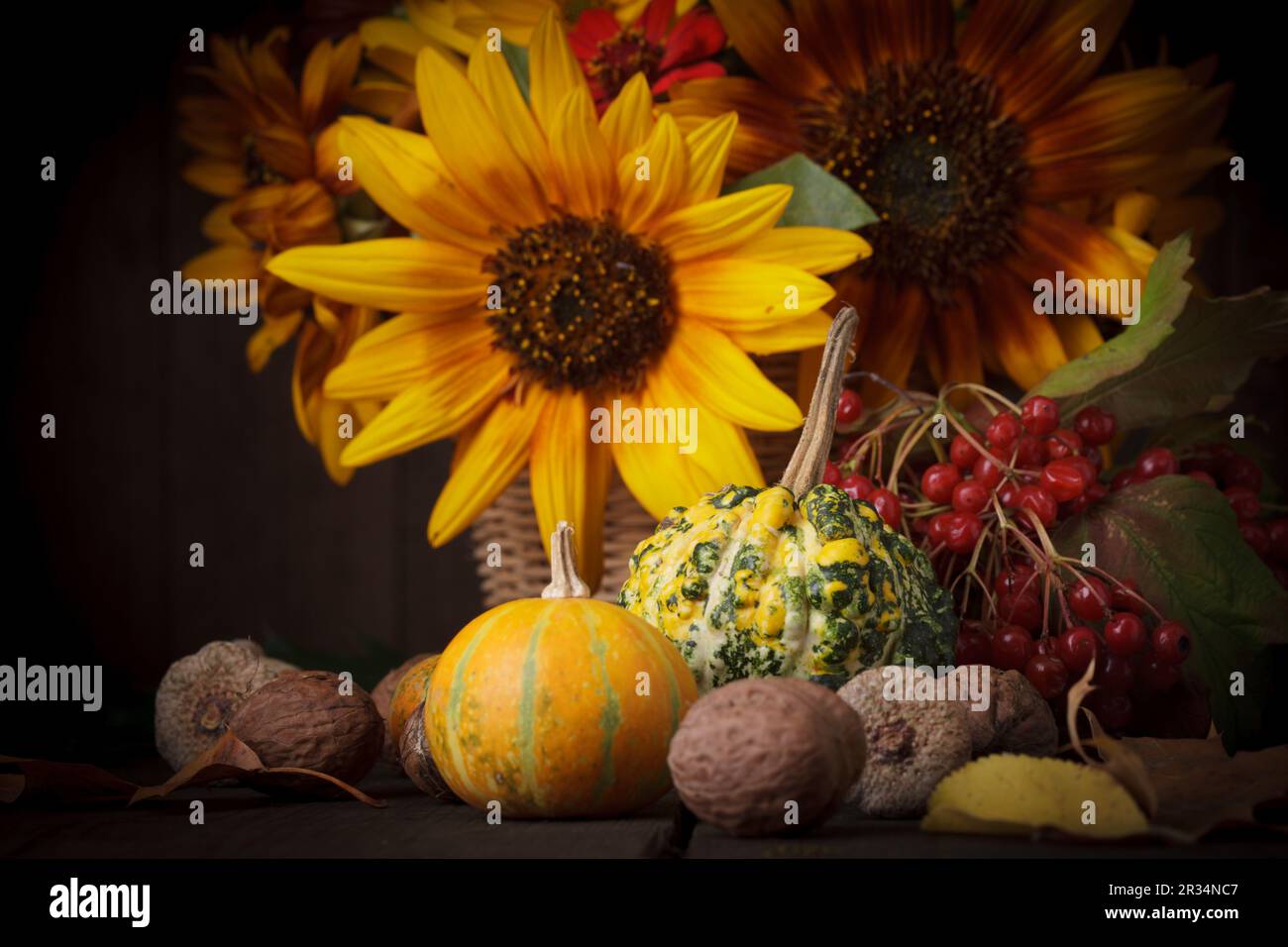 In colours hi-res stock photography and images - Alamy