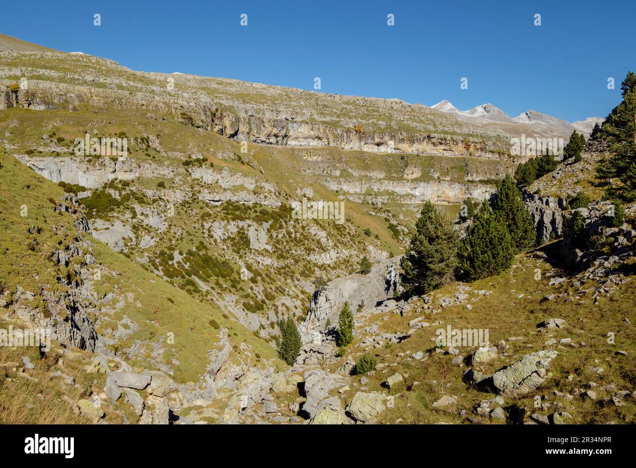 barranco de la Pardina, parque nacional de Ordesa y Monte Perdido ...