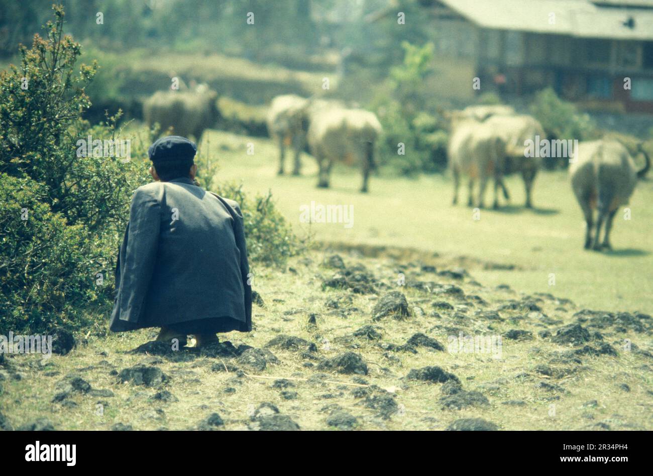 Men on the road hi-res stock photography and images - Alamy