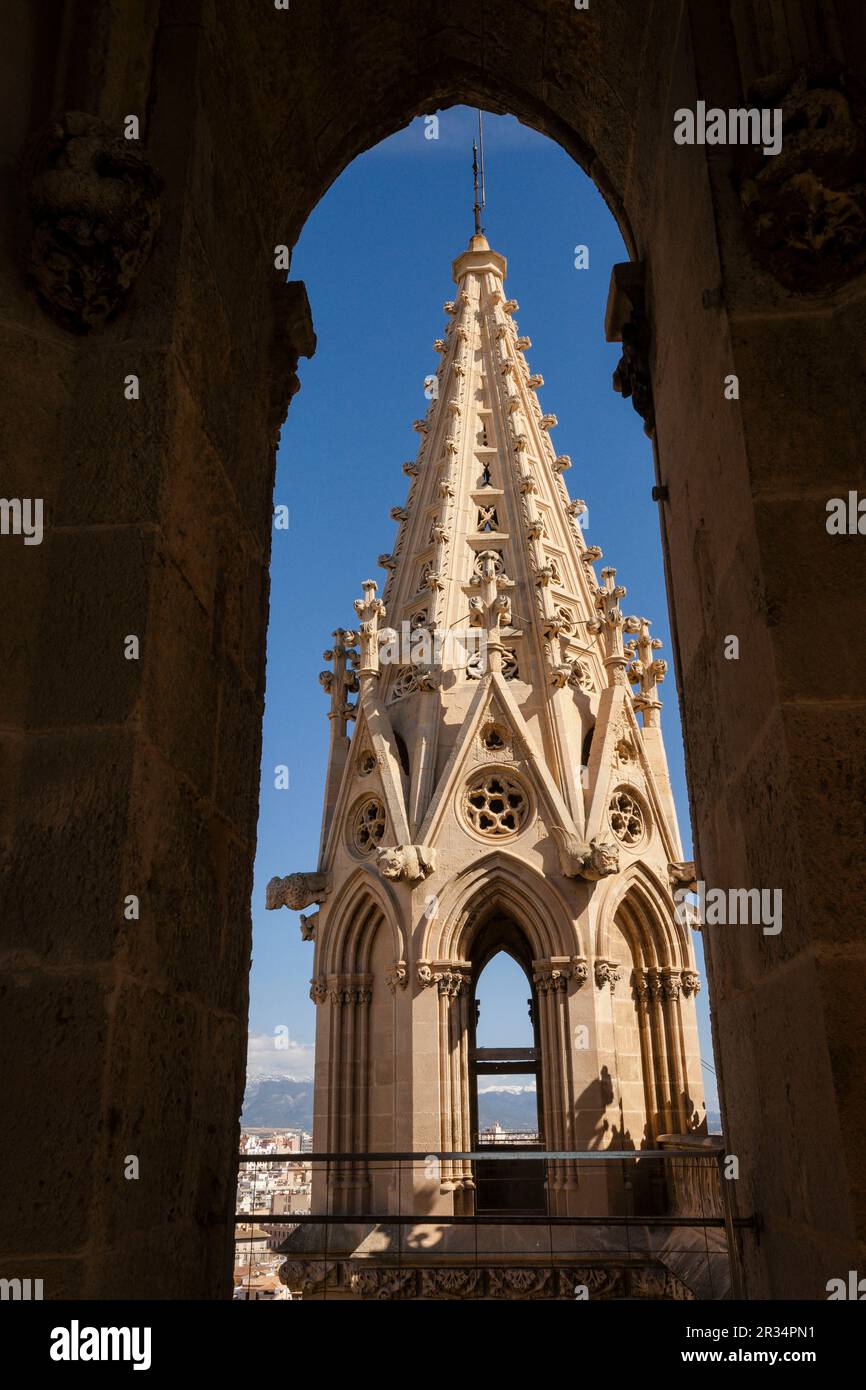 pinaculos, Catedral de Mallorca , siglo XIII, Monumento Histórico ...