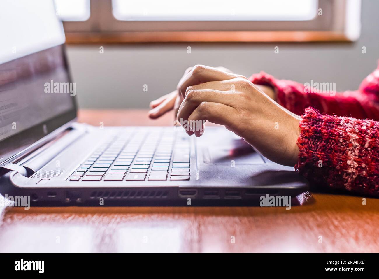 Side view of female hands typing on laptop keyboard near the window ...