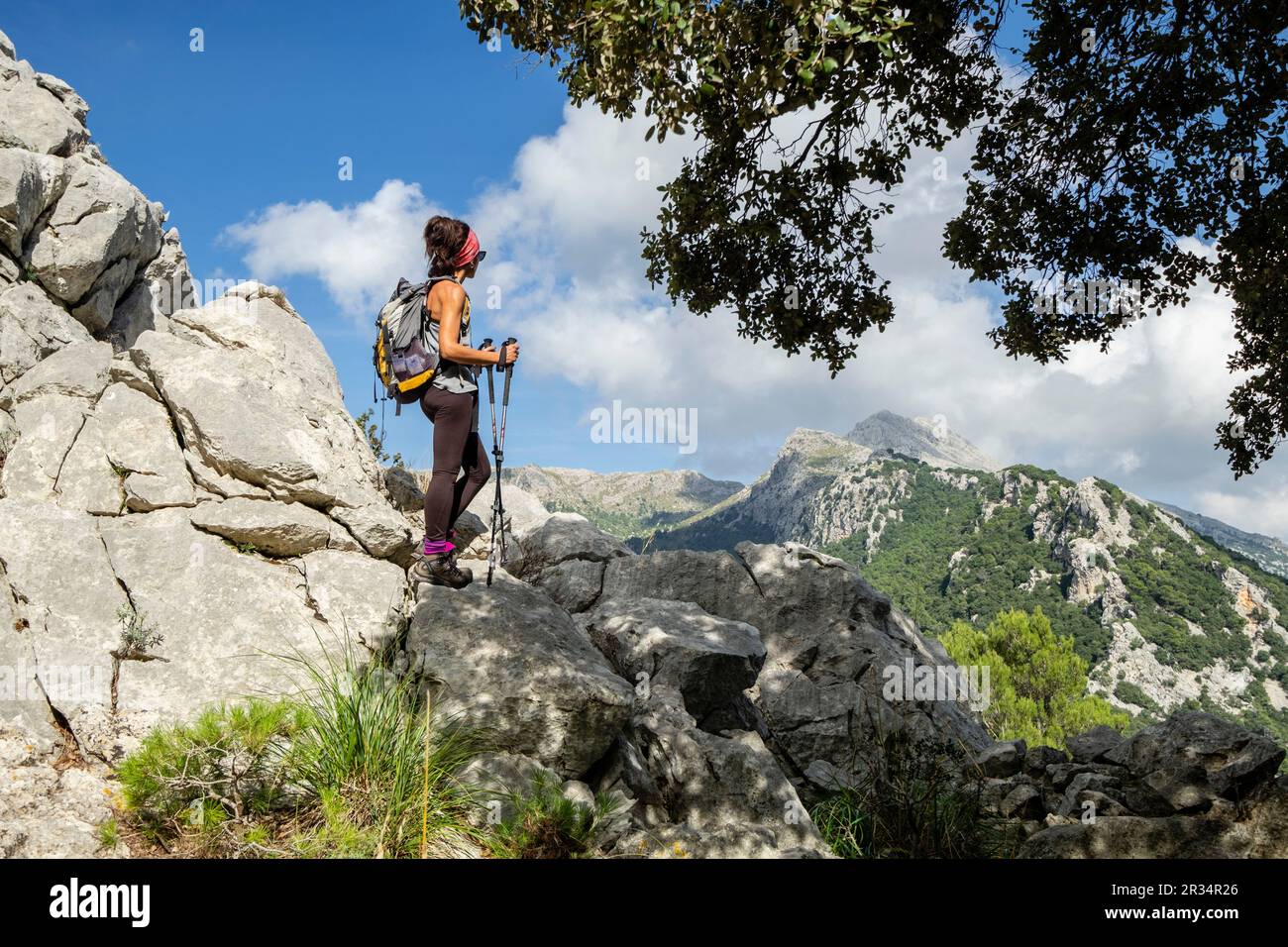 escursionista ascendiendo al Puig des Tossals Verds, Escorca, Paraje ...