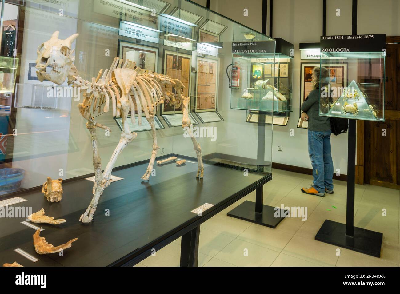 Salon griego hi-res stock photography and images - Alamy