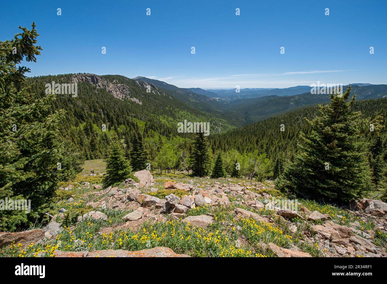 Juniper pass colorado hi-res stock photography and images - Alamy