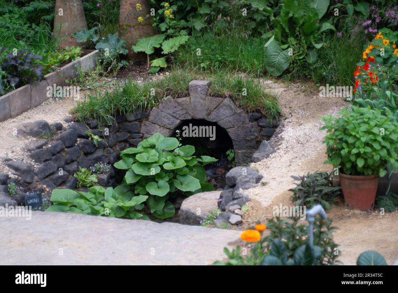 Chelsea, London, UK. 22nd May, 2023. The Savills Garden designed by ...