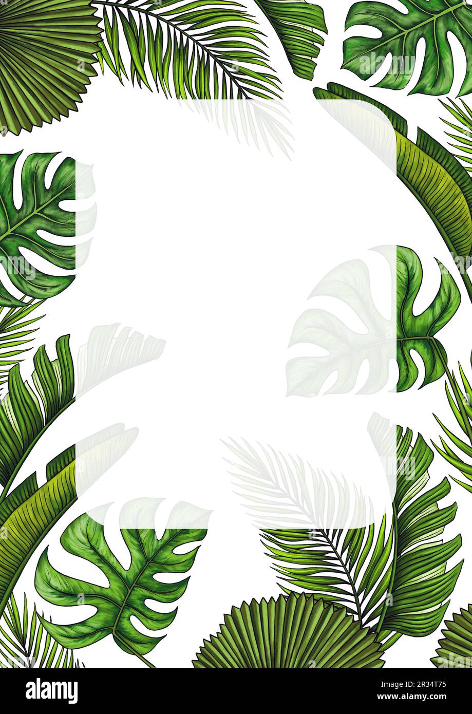 Jungle Background Tropical Leaves Frame Rainforest Green Jungle