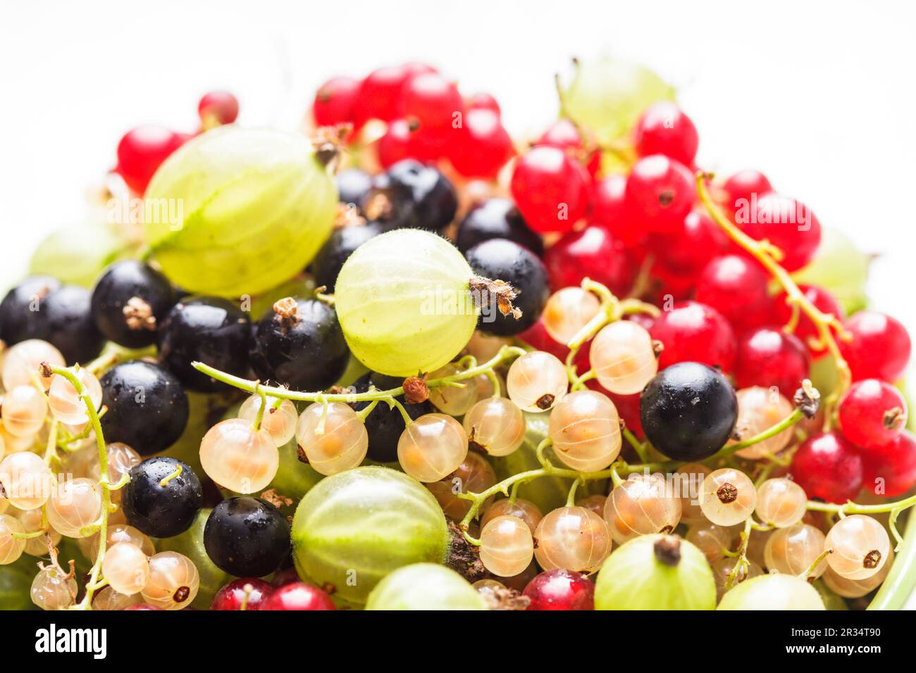 Currants and gooseberry Stock Photo - Alamy