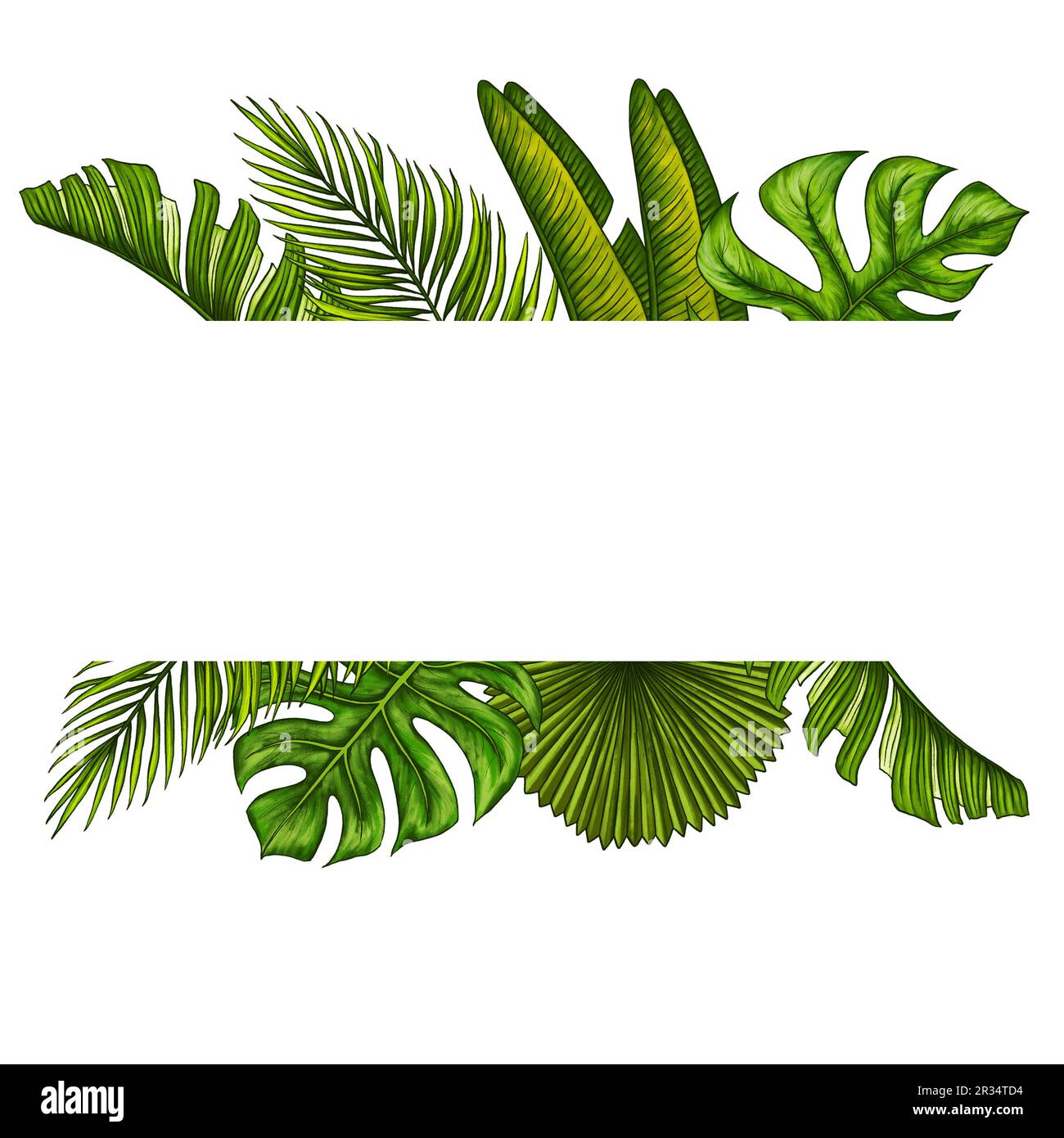 Square template for text with tropical palm leaves. Frame or border ...