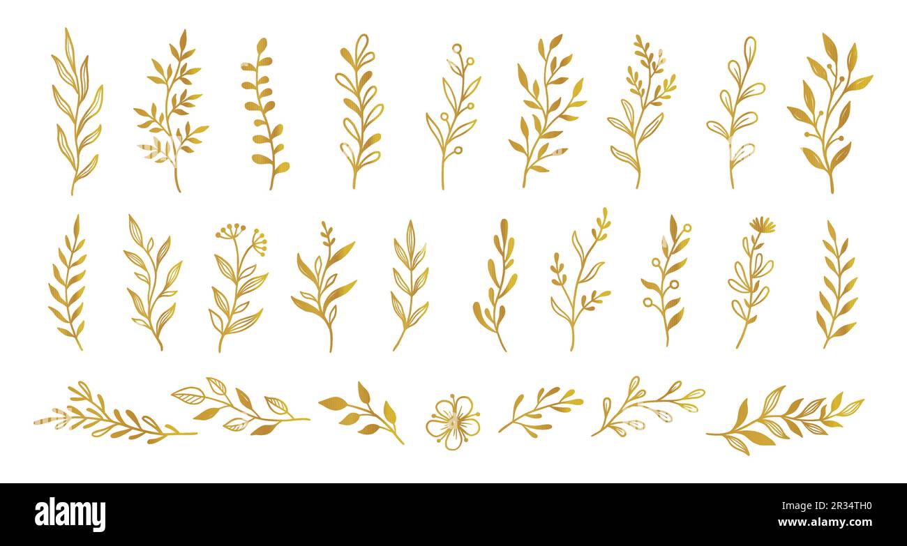 Gold branch leaf element set. Hand drawn sketch doodle golden leaves ...
