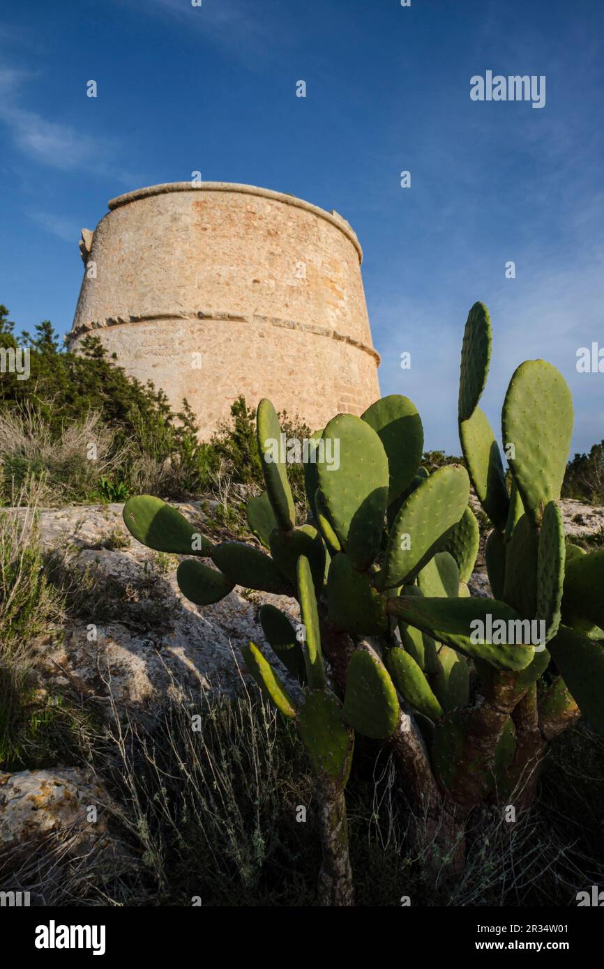 Es Pi des Català tower, Migjorn coast, Formentera, Pitiusas Islands ...