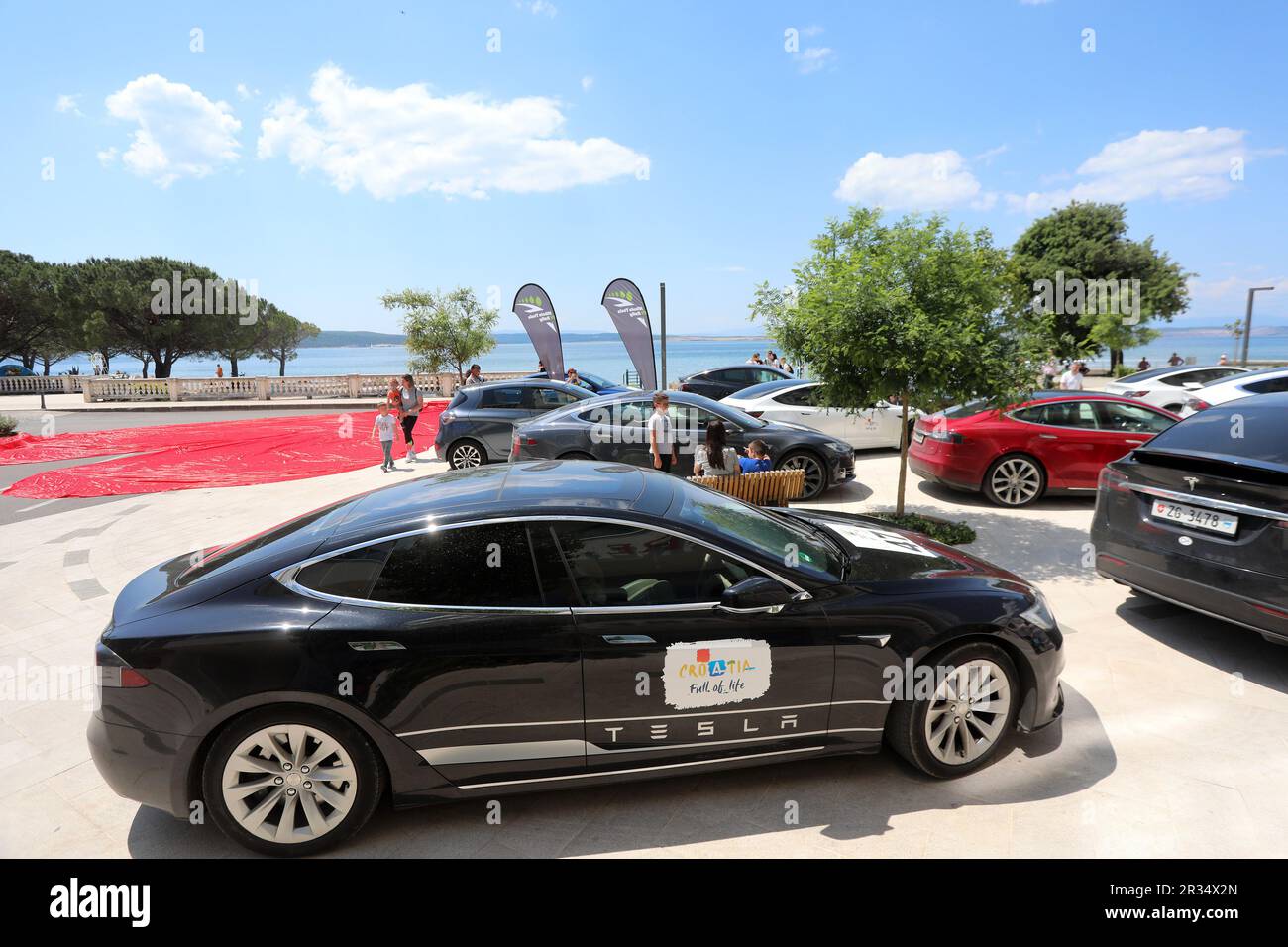 Electric cars is seen during the Nikola Tesla EV Rally, Croatia ...