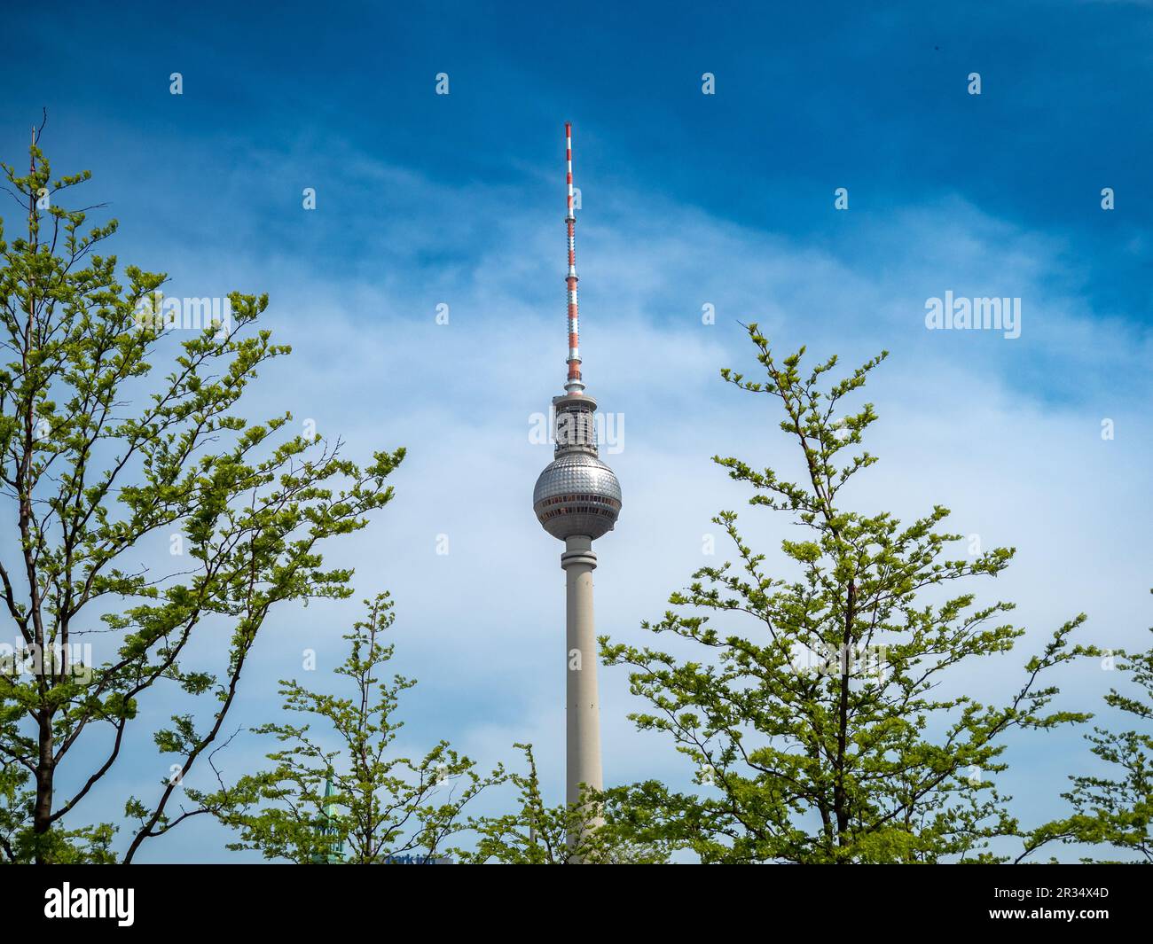 TV tower Alexanderplatz, behind the branches of trees, Berlin, Germany ...