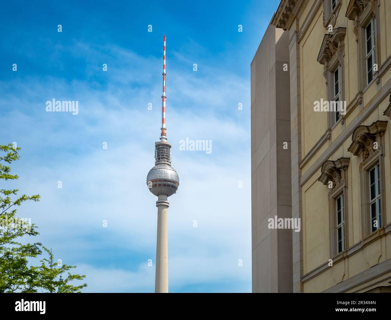 TV tower Alexanderplatz, behind the branches of trees, Berlin, Germany ...
